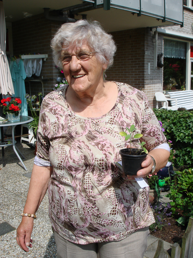 Wieden in de Wierden – Myrthe Mandemakers